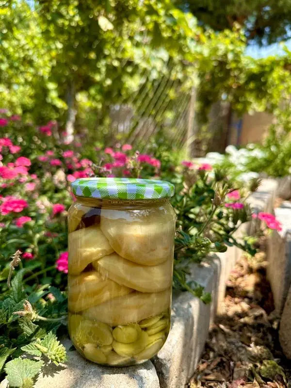 Konserve Enginar – Gurme Enginar