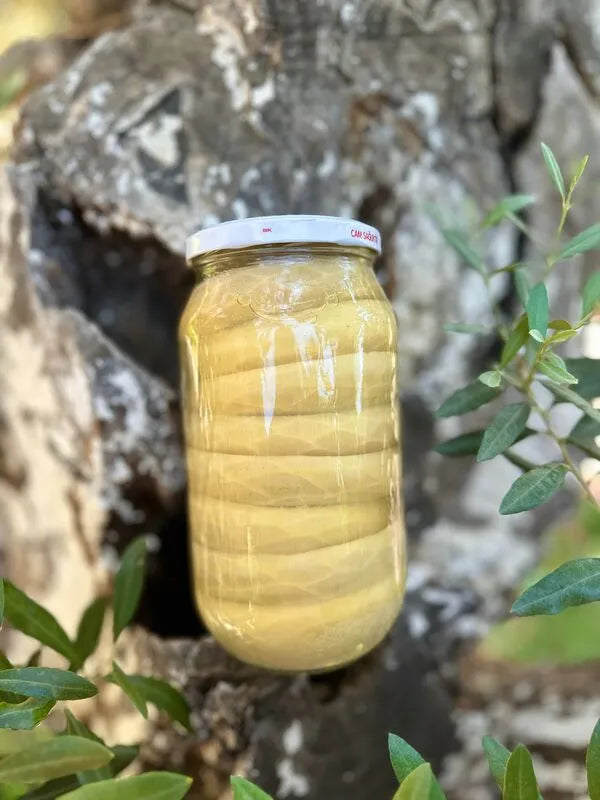 Konserve Enginar – Gurme Enginar